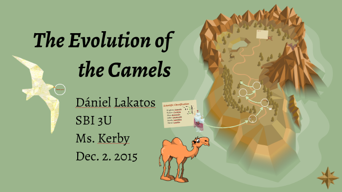 Evolution of the Camels by Dániel Lakatos on Prezi