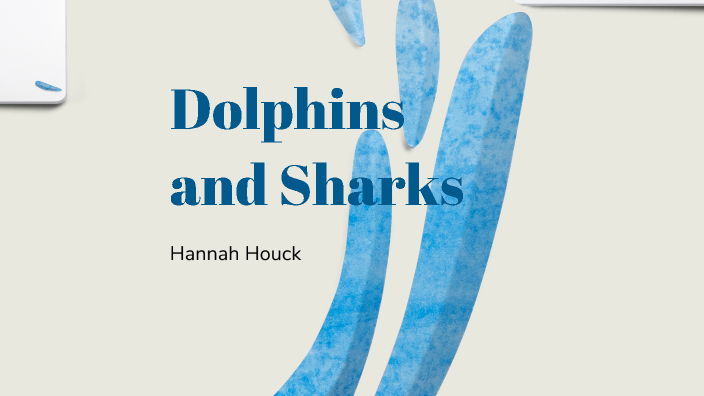 Differences between Sharks and Dolphins by Hannah Houck on Prezi