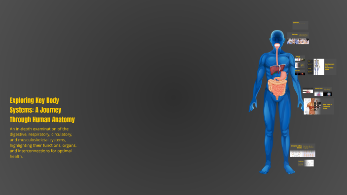 Exploring Key Body Systems: A Journey Through Human Anatomy by Axl ...