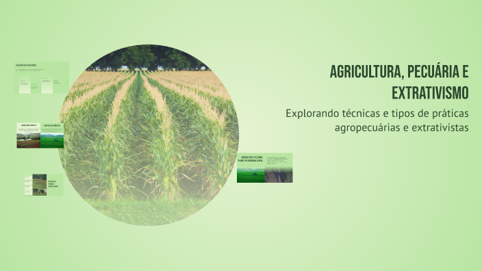 Agricultura, Pecuária e Extrativismo by Radilson Mendes on Prezi