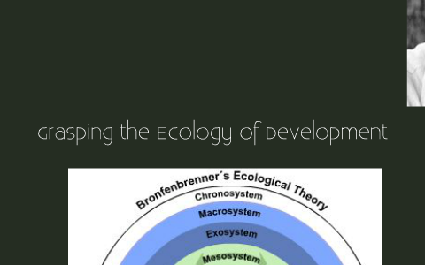 Lesson 6 Bronfenbrenner's Ecological Systems Theory by Leigha Turner on ...