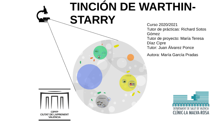 TINCIÓN DE WARTHIN-STARRY by María García Pradas on Prezi