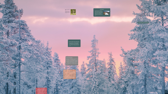 Exploring Human Nature Relationships In Never Cry Wolf By Alt Account On Prezi