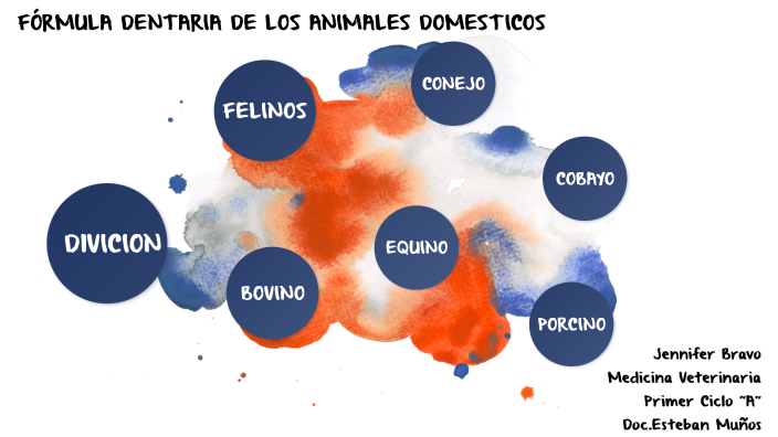 FÓRMULA DENTARIA DE LOS ANIMALES by Jennifer Bravo on Prezi