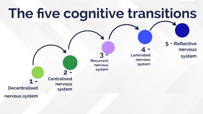 5 cognitive transitions by Martino Cerio on Prezi