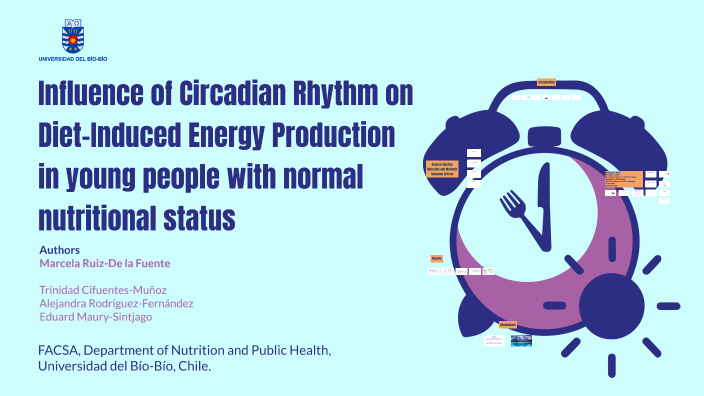 Influence of Circadian Rhythm on Diet-Induced Energy Production by ...