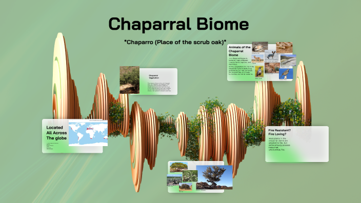 Chaparral Biome by cassandra parsons on Prezi