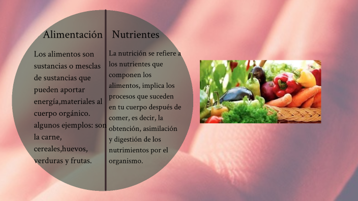 nutrientes by Christopher Macedo on Prezi