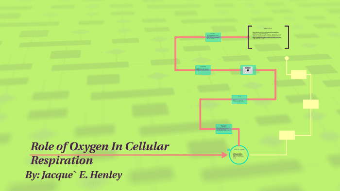 Role of Oxygen In Cellular Respiration by on Prezi