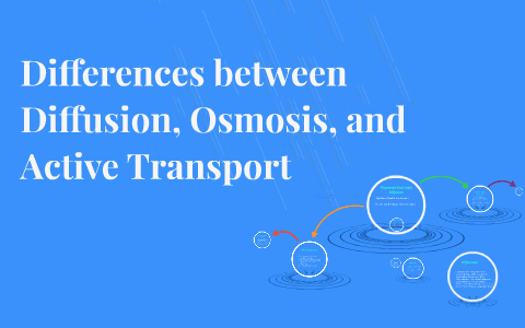 Differences between Diffusion, Osmosis, and Active Transport by ...