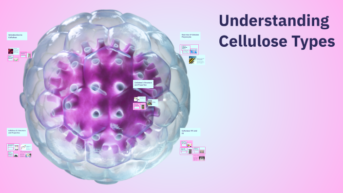 Understanding Cellulose Types by jiana atrash on Prezi