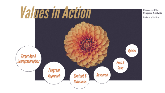 Values in Action: A Character Education Program Analysis by Mary ...