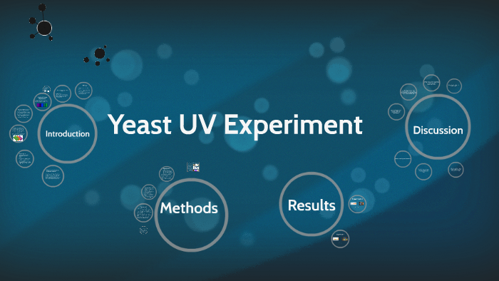Yeast UV Lab by Mary Ann on Prezi