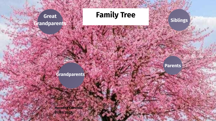 Meredith Cantrelle Family Tree Project by Meredith Cantrelle on Prezi