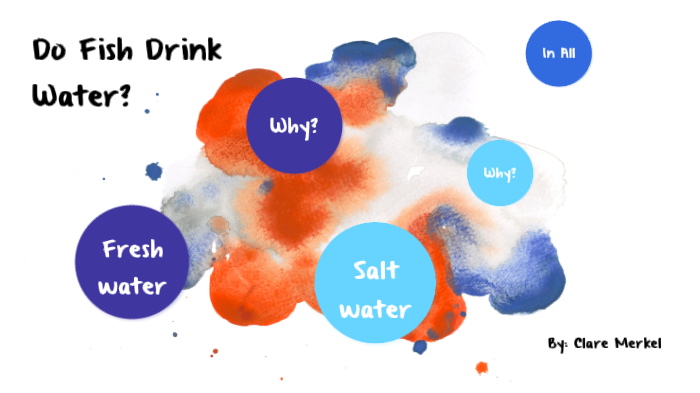 Do fish need to drink water? by Clare merkel on Prezi