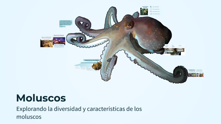 Moluscos by Brandon Manzo on Prezi