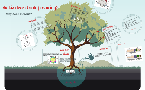 what is decerebrate posturing and why does it occur? by audra donovan ...
