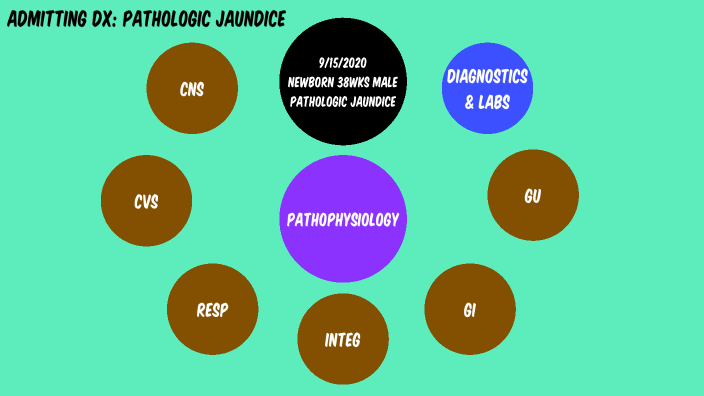 Concept Map Newborn by Joseph Nguyen on Prezi