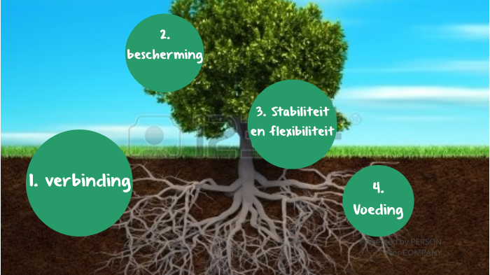 Deze functie is mij op het lijf geschreven by P Smeekes on Prezi