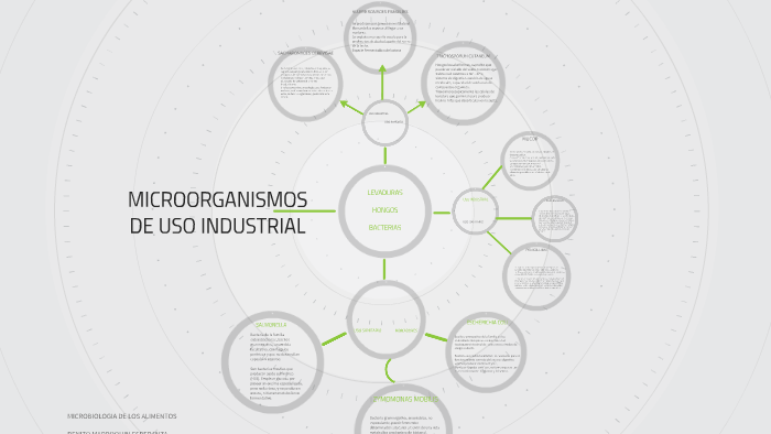 MICROORGANISMOS DE USO INDUSTRIAL by Giovanni Botello on Prezi