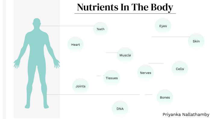 Nutrients in the body by Priyanka Nallathamby on Prezi