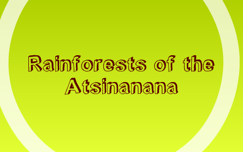 Rainforests of the Atsinanana by bb