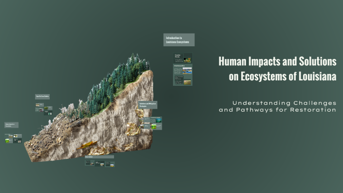 Human Impacts and Solutions on Ecosystems of Louisiana by Reagan Lynch ...