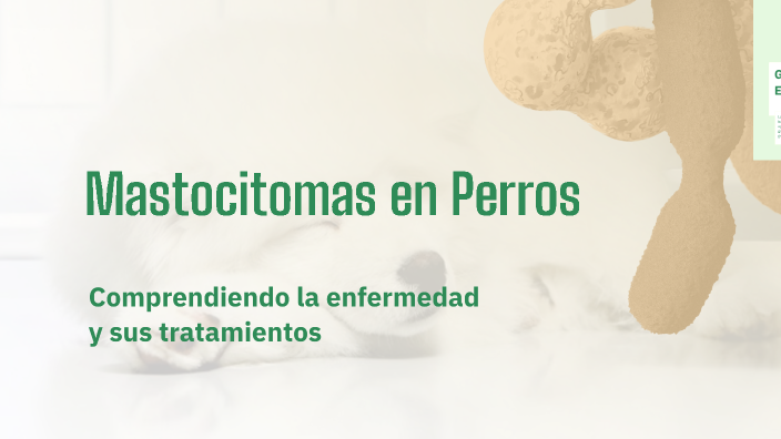 Mastocitomas en Perros by Daniela Mamani on Prezi