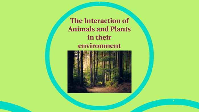 The Interaction of Animals and Plants in their environment by ...