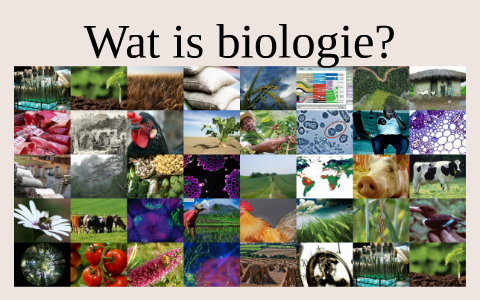 Wat is biologie? by RPJ Peters on Prezi