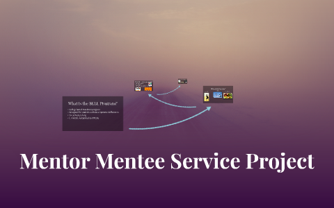 Mentor Mentee Service Project by Allison Viera