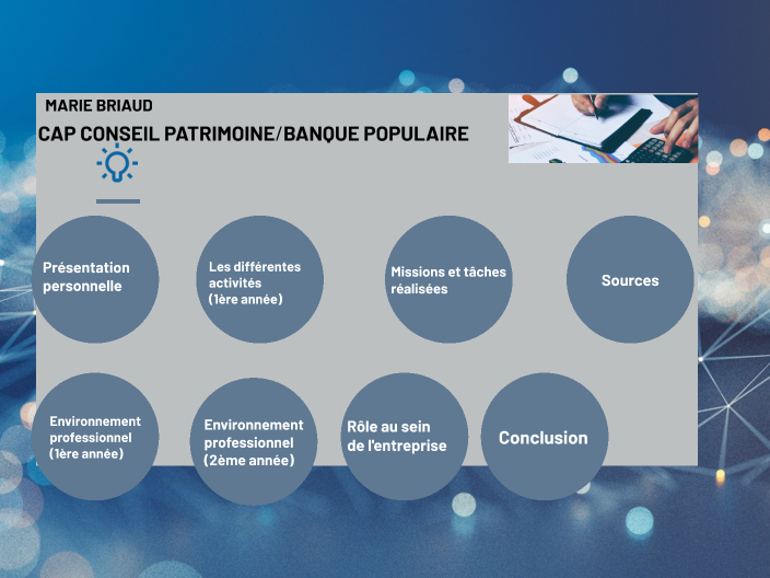 BILAN PRO by Marie Briaud on Prezi