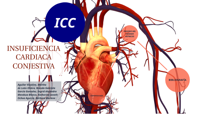 ICC by barbara ochoa aguirre on Prezi