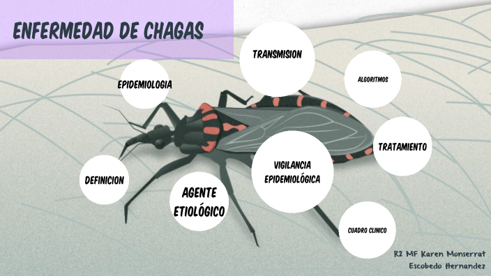 CHAGAS by Karen Monserrat Escobedo Hernandez on Prezi