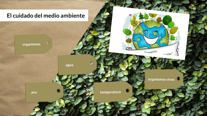 El cuidado del medio amiente by Sofia Navarro on Prezi