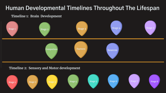 Human Developmental Timelines by Radwa Abdu on Prezi