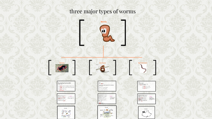 three major types of worms by Elizabeth Ilina on Prezi