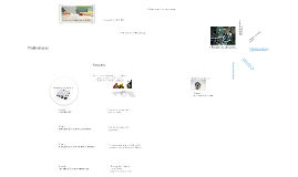 Generalidades by SAYRA DOMINGUEZ on Prezi