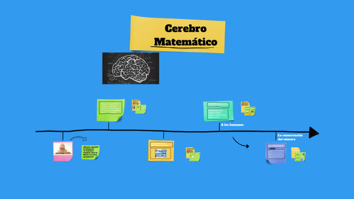 Cerebro Matemático by Paula Torres on Prezi