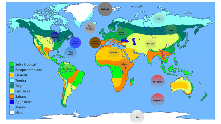 BIOMAS DEL MUNDO by José Eduardo Cano on Prezi