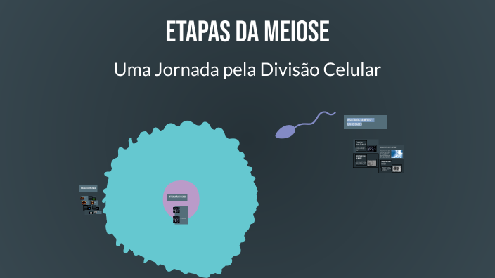 ETAPAS DA MEIOSE by DANIELA CATALDI on Prezi