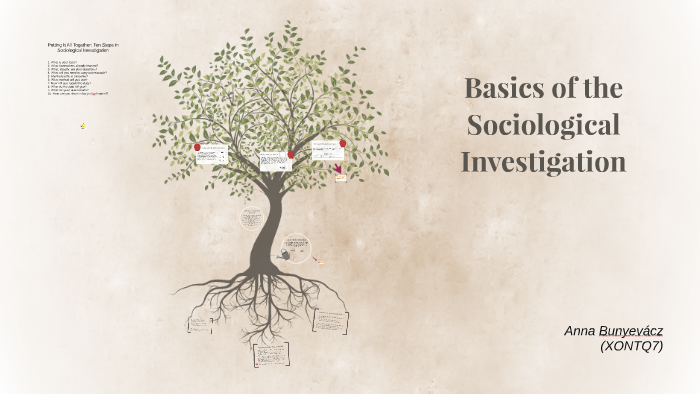Basics of the Sociological Investigation by Anna Bunyevácz on Prezi