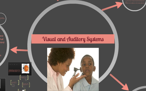 Visual and Auditory Systems by on Prezi