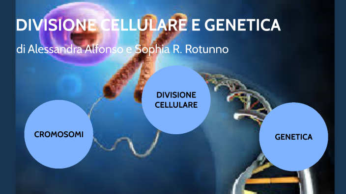 divisione cellulare e genetica by Sophia Rotunno on Prezi