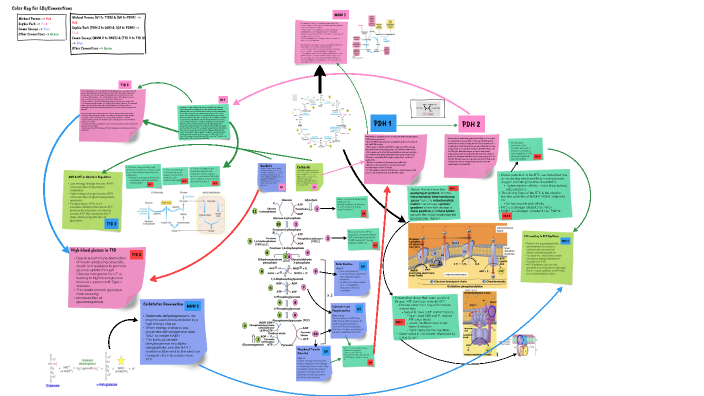 Biochem Project by Michael P. on Prezi