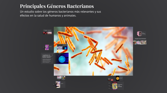 Principales Géneros Bacterianos by andres nieto on Prezi