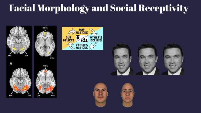 Facial Morphology by Alina Rama on Prezi