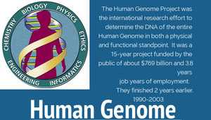 Human Genome Project Poster by Karston Hellman on Prezi Design