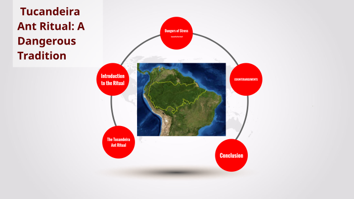 Tucandeira Ant Ritual by Emily Pitman on Prezi