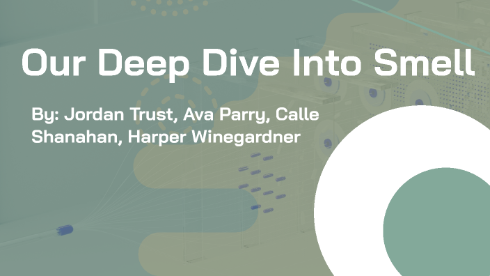 How do humans smell? by Jordan Trust on Prezi